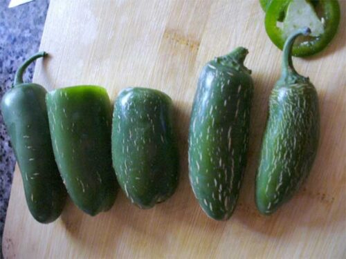 A Chef's Guide to Red Hot Chili Peppers - Hispanic Food Network