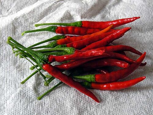 A Chef's Guide to Red Hot Chili Peppers - Hispanic Food Network